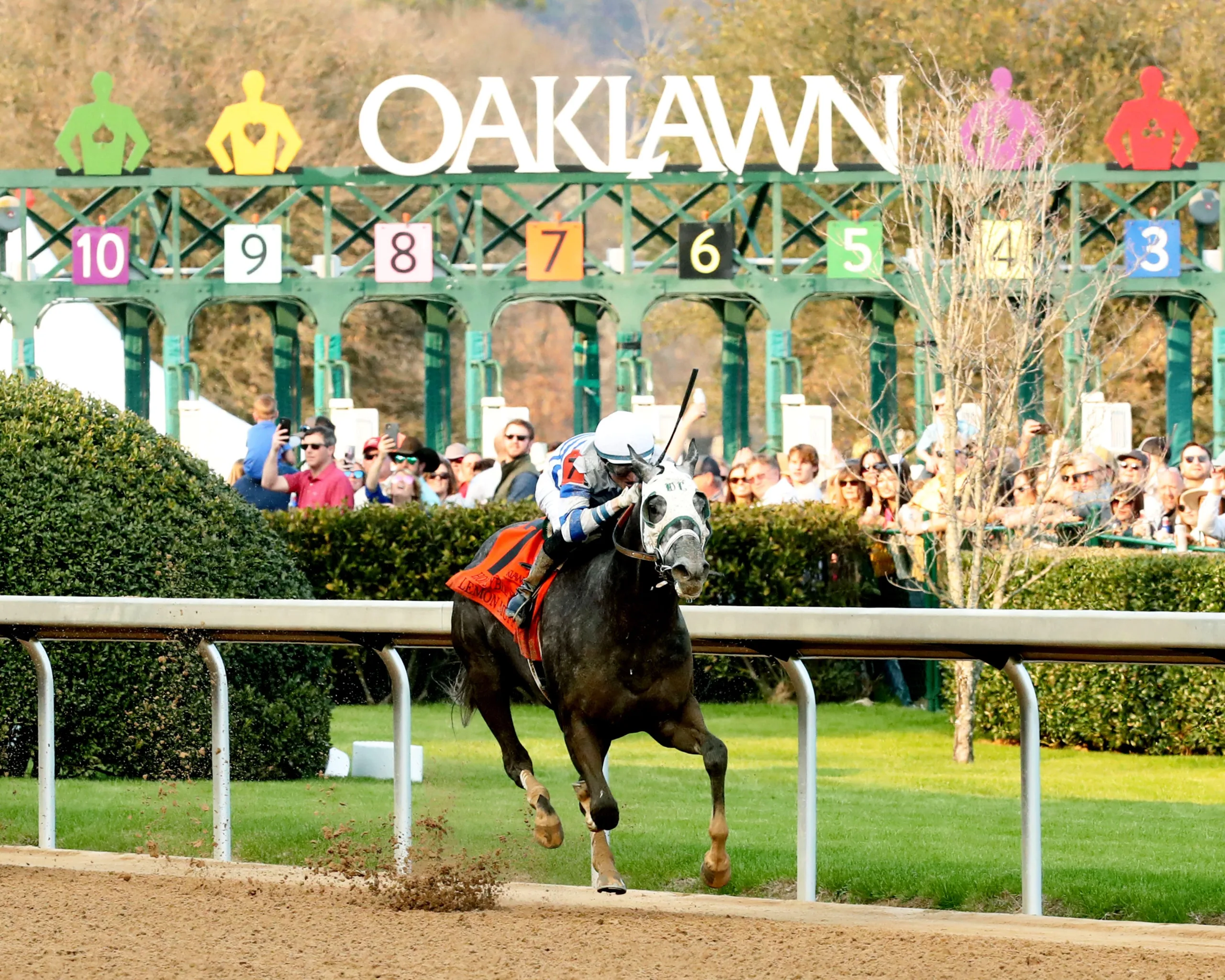 Kentucky Derby jockey says Catholic faith crucial in dangerous sport ...