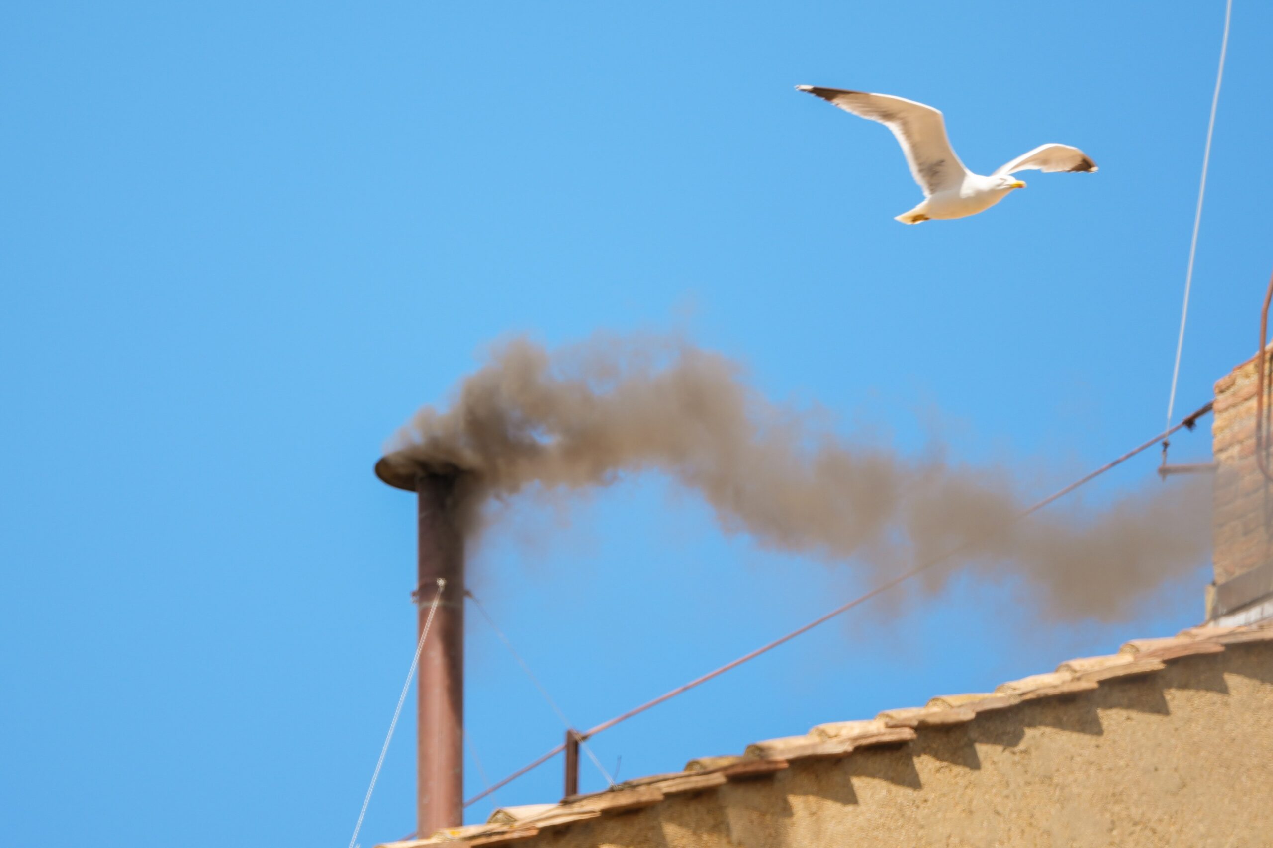A morning of black smoke from the Sistine Chapel chimney - The Leaven ...