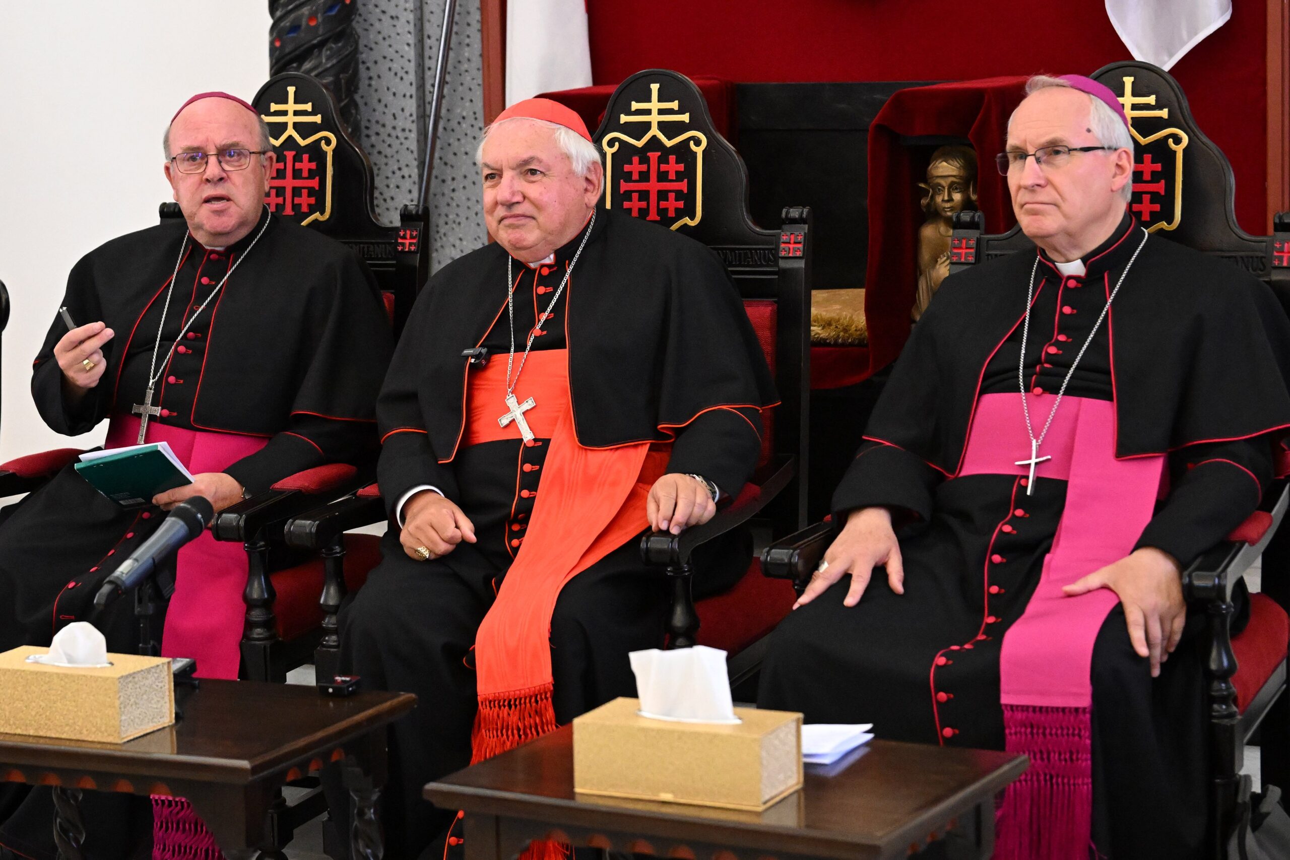 Cardinal: When all hope seems to disappear in Holy Land, hope of Christ ...
